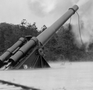 ORGANIZATION - Coast Defense Study Group